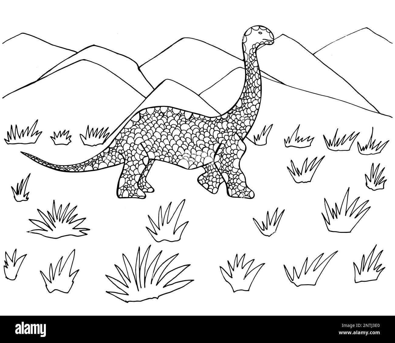 Diplodocus vector illustration Stock Vector Image & Art - Alamy