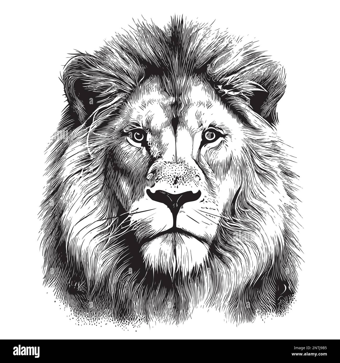 Dessin Lion