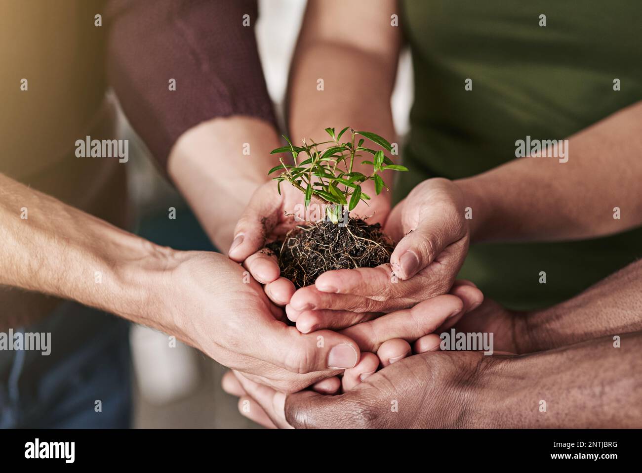 Growing their business is a breeze with teamwork. a group of people ...