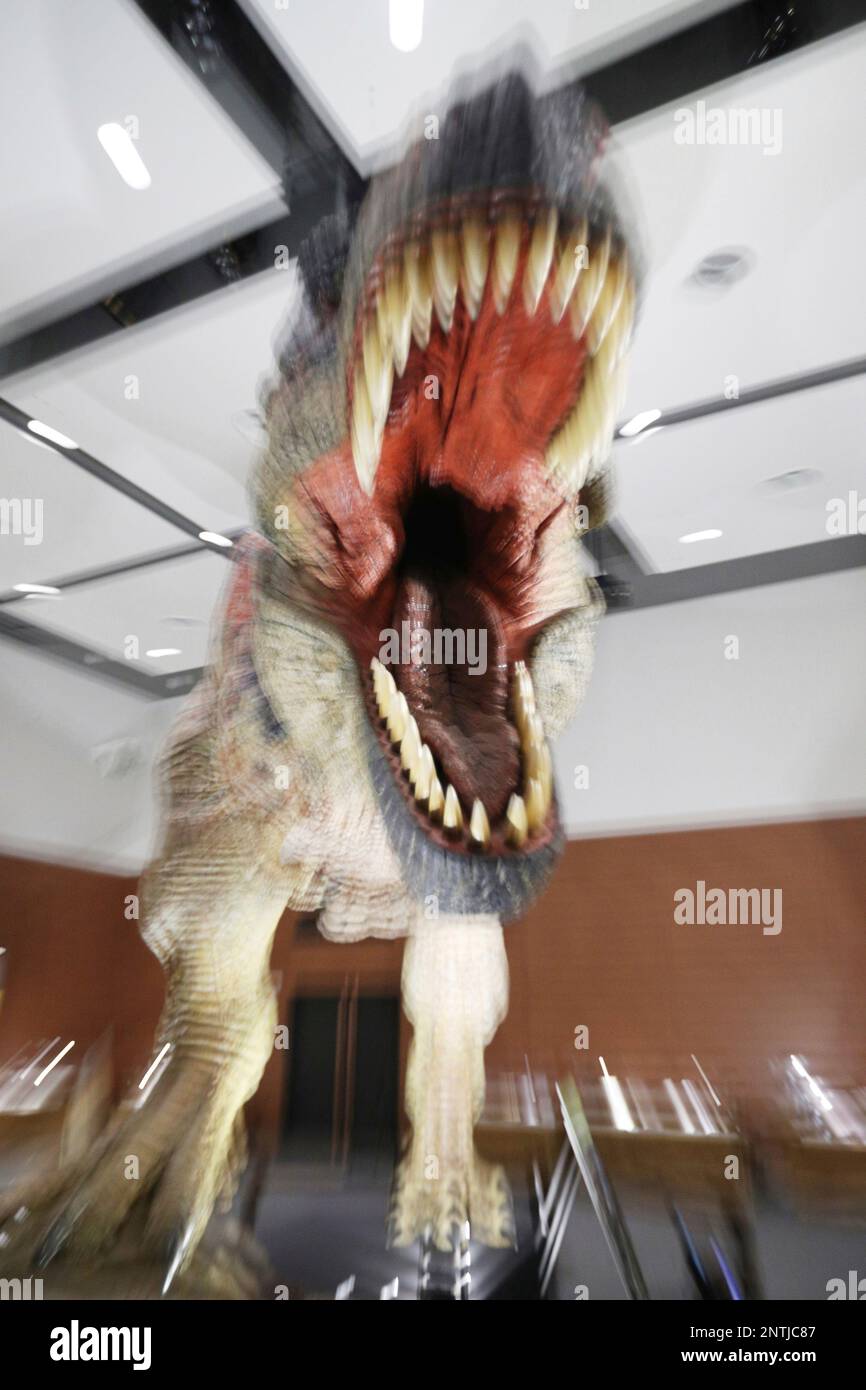 The Robotic tyrannosaurs rex (T. Rex or T-Rex) is displayed during an ...