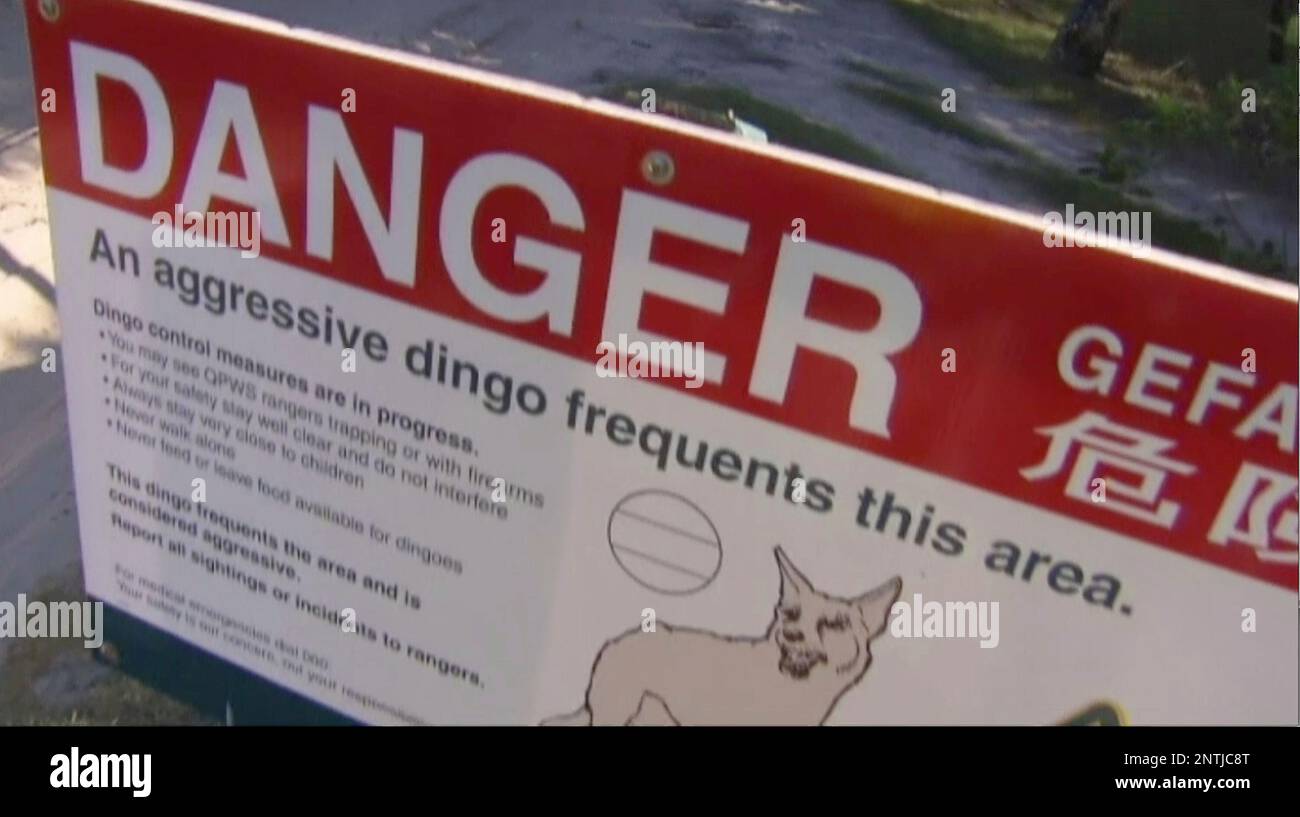 This undated image made from video, shows a sign on dingo on Fraser ...