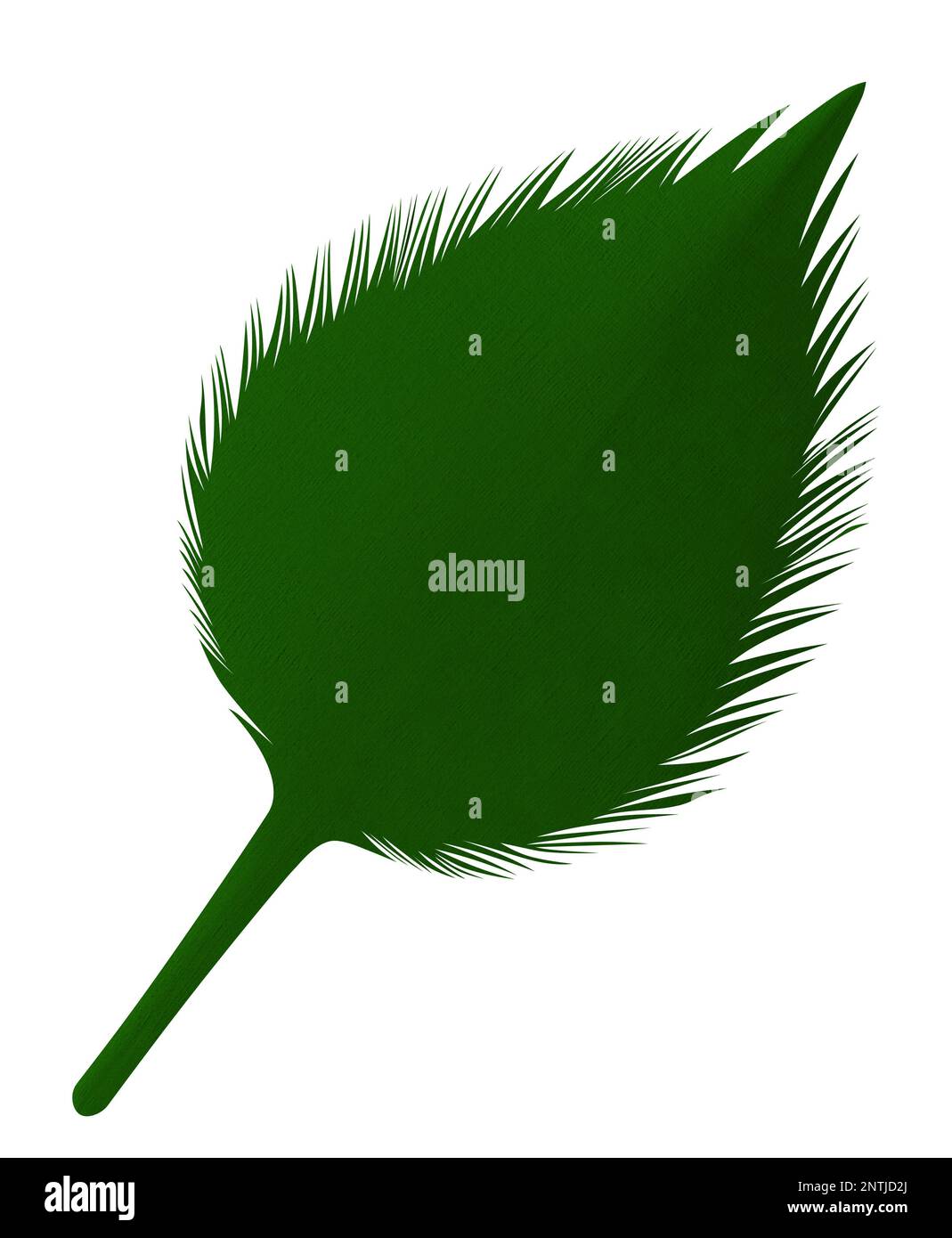 Green leaf made of paper isolated on white. Clipping Path included ...