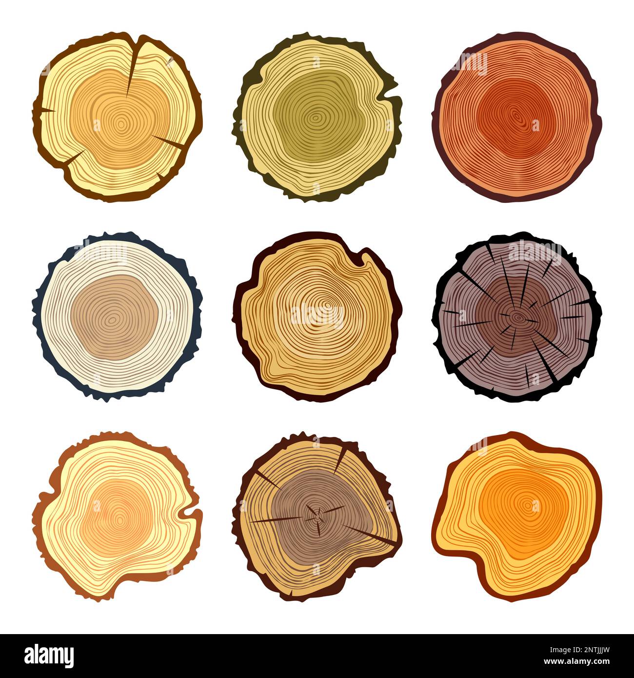 Round colorful tree trunk cuts, sawn pine or oak slices, lumber. Saw ...