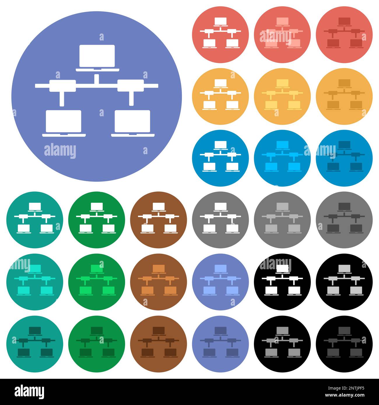 Computer network multi colored flat icons on round backgrounds ...