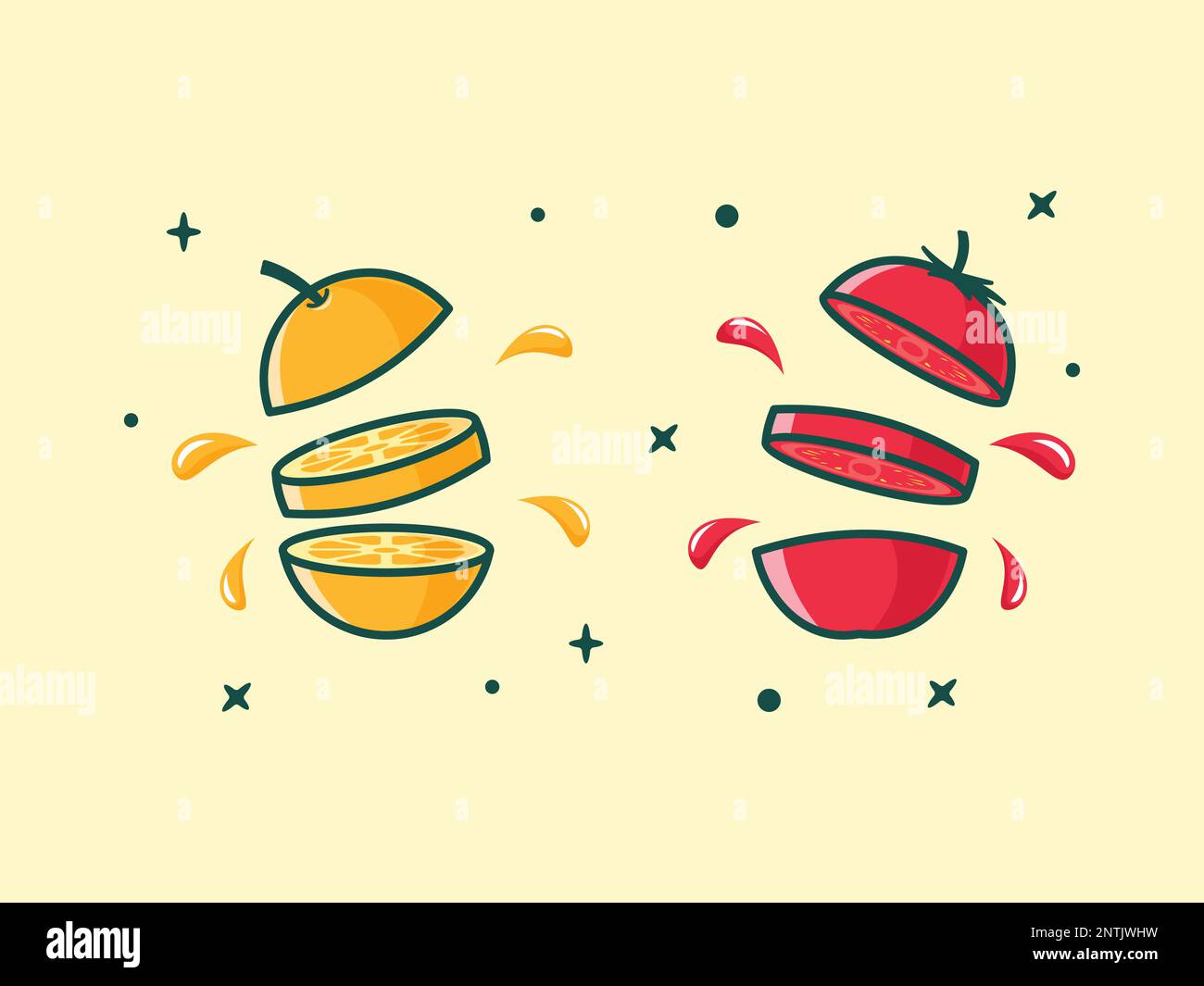 Illustration of fresh orange and tomato split and squirt. Vector ...