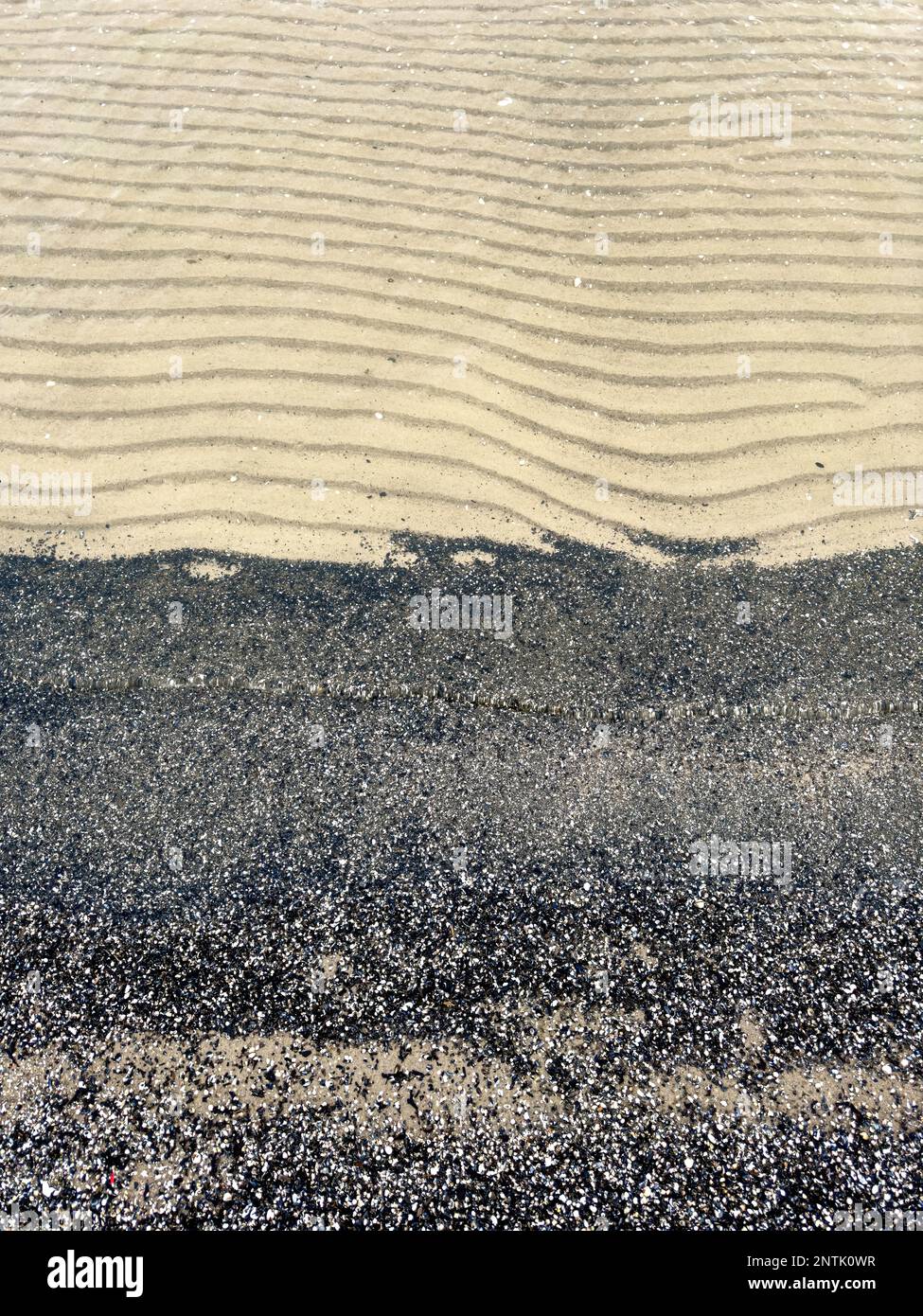 Textured sea sand at the bottom, seashore, natural background Stock ...