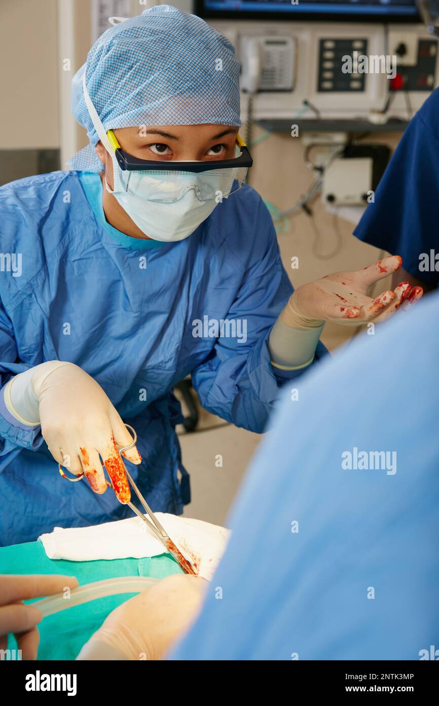 Offering her medical opinion. a team of surgeons performing a surgery ...