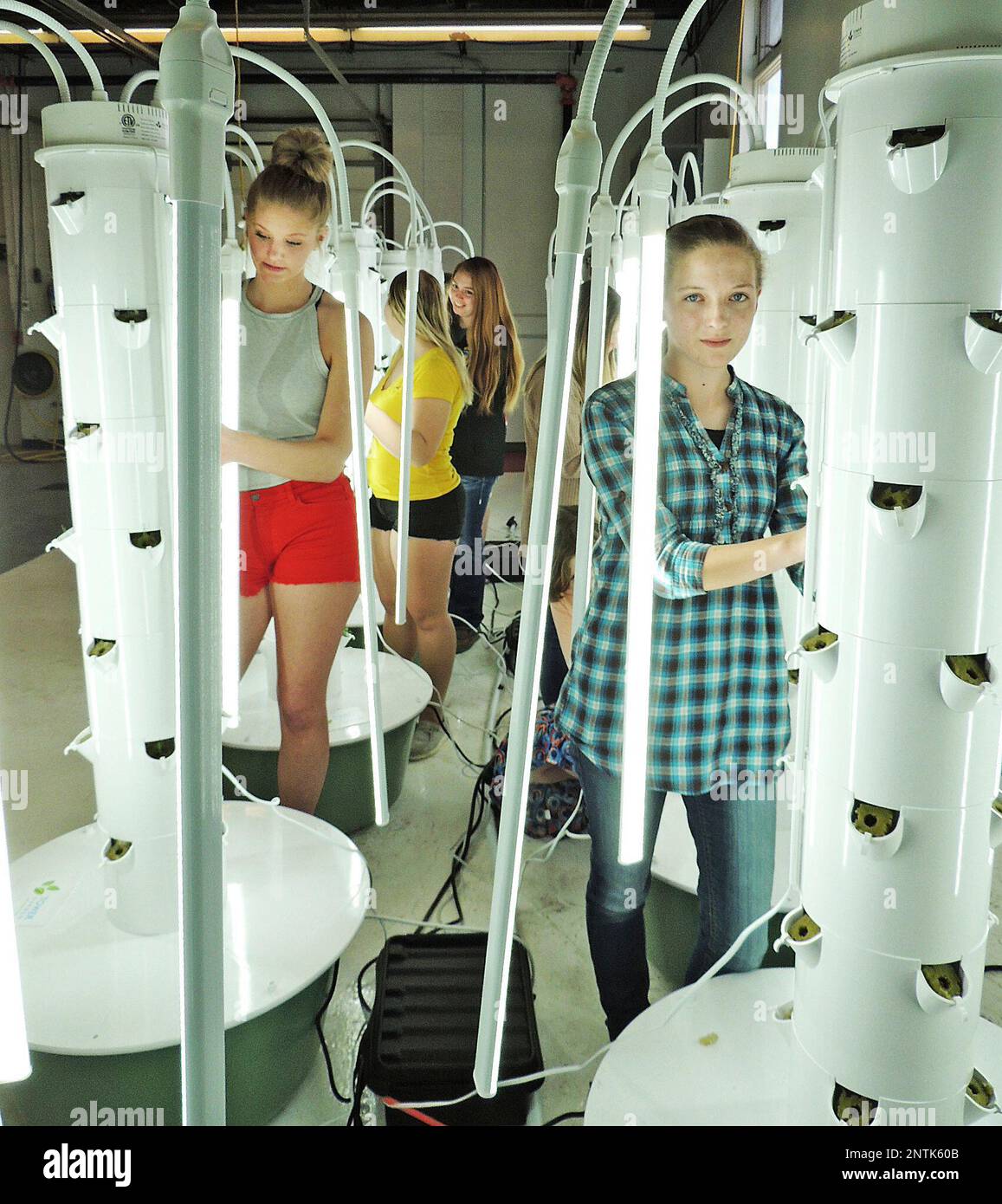 In between the LED lights are FFA students, clockwise from left, Jaimee ...