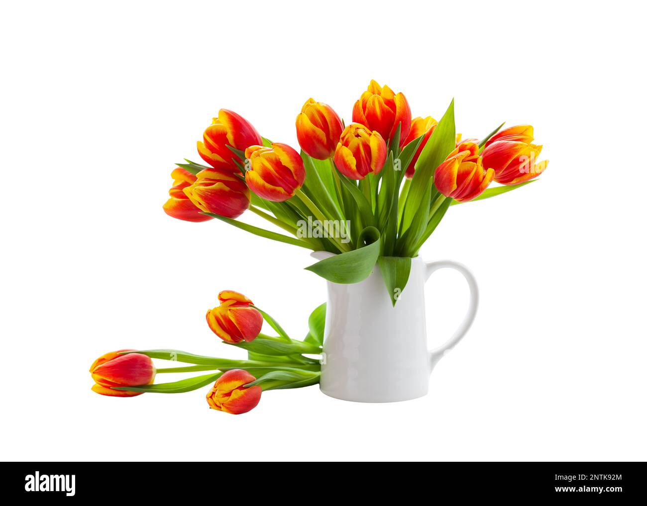 Spring bouquet of red yellow tulip in white jug isolated on white ...