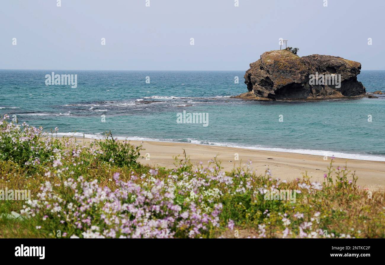 A picture shows Hakuto Beach, the site of a legend in the Kojiki, the ...