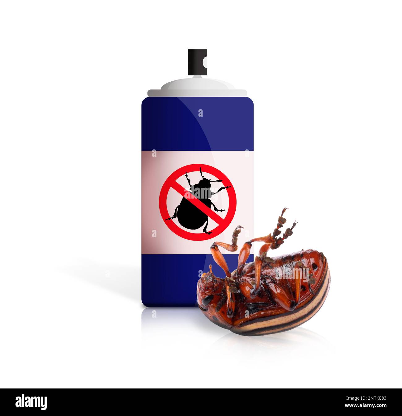 Insecticide and dead Colorado potato beetle on white background Stock ...