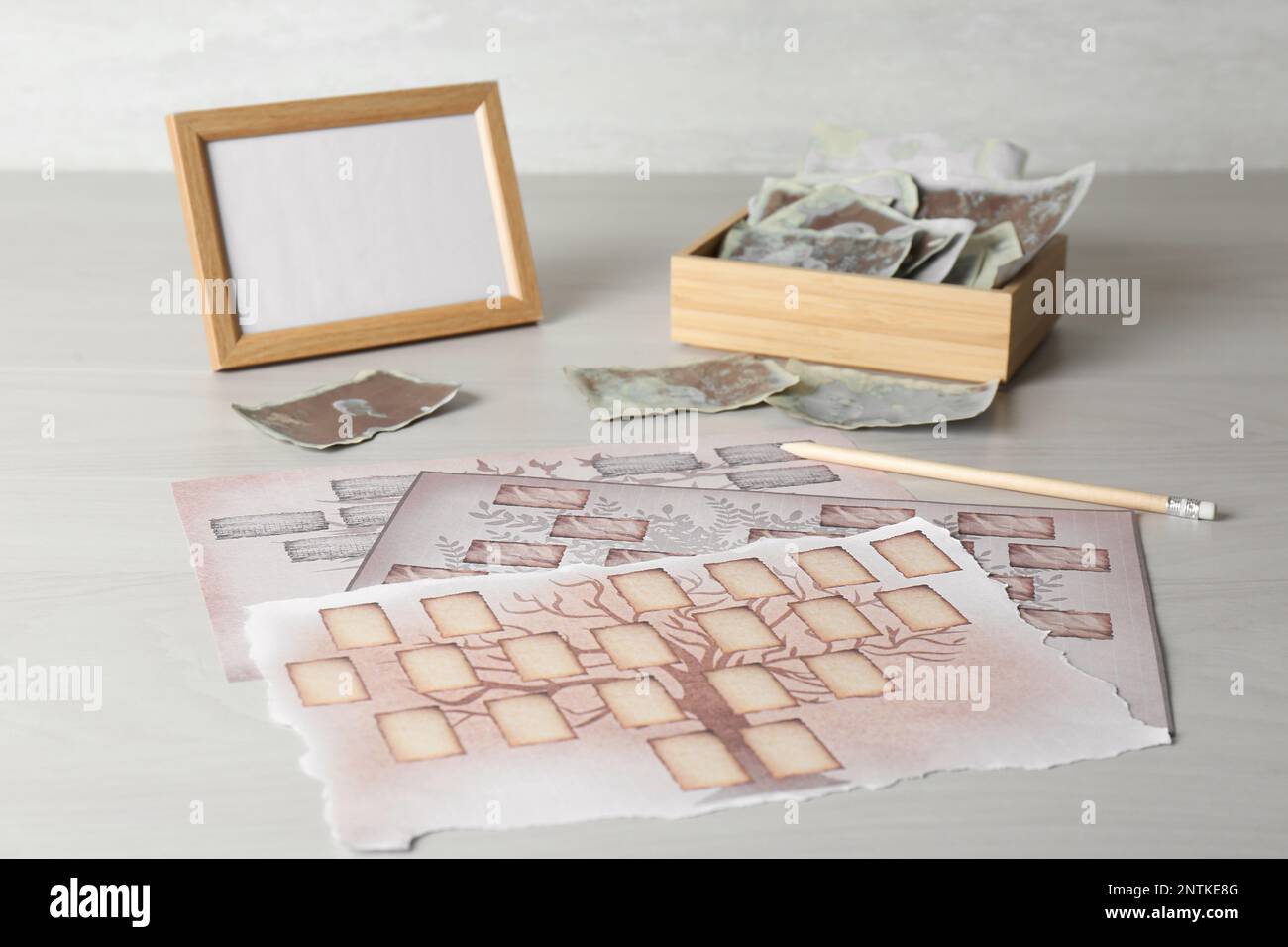 Papers with family tree templates, frame, photos and pencil on light ...