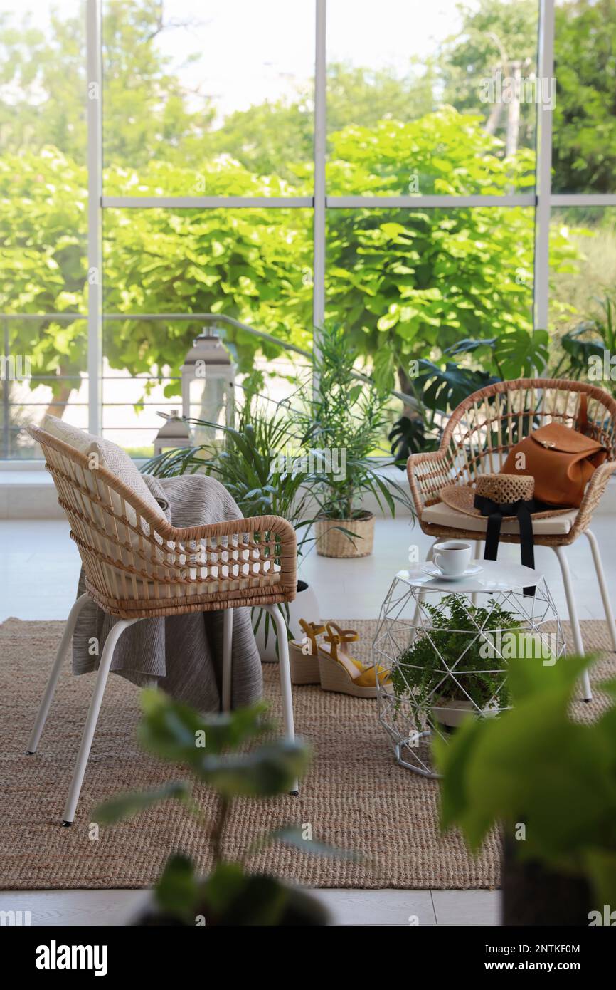 Indoor terrace interior with elegant furniture and houseplants Stock ...