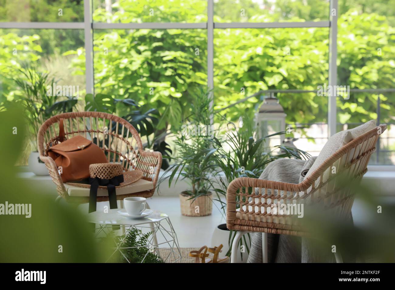 Indoor terrace interior with elegant furniture and houseplants Stock ...
