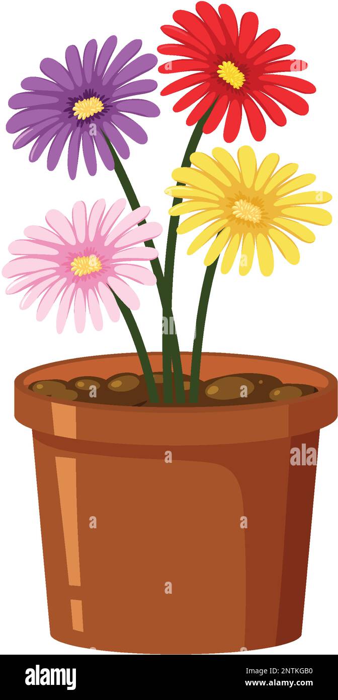 Colorful flower in pot on white background illustration Stock Vector ...