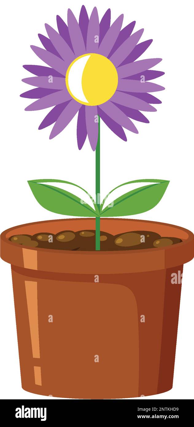 Purple flower in pot on white background illustration Stock Vector ...