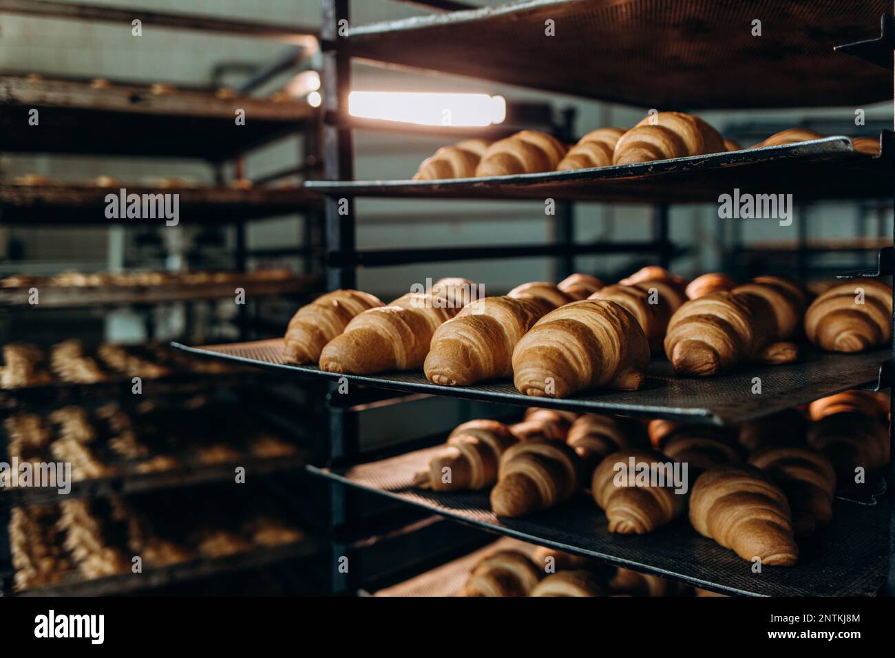 Bread making factory hi-res stock photography and images - Alamy