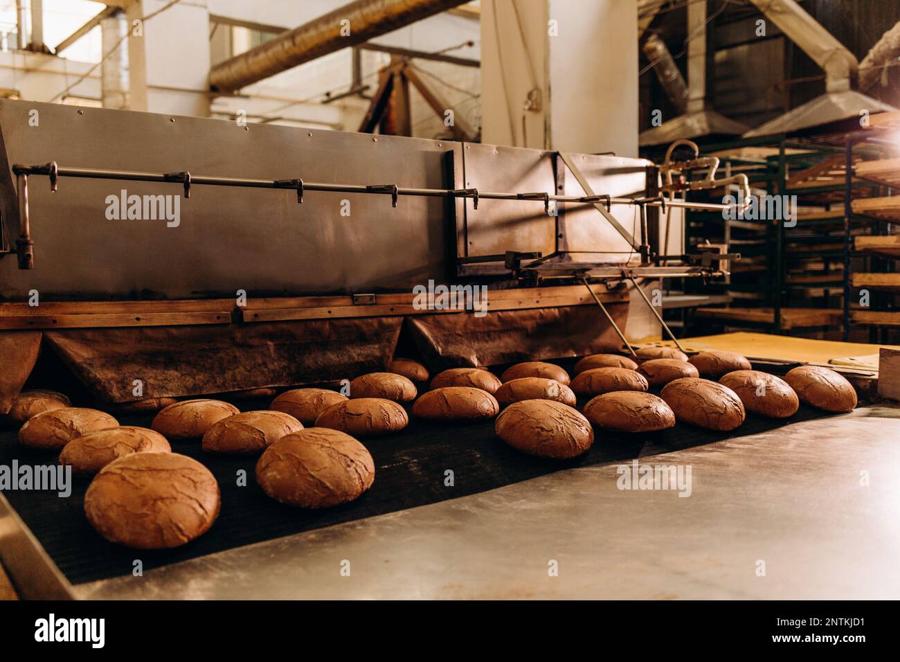 Automatic bakery production line with sweet cookies on conveyor belt ...