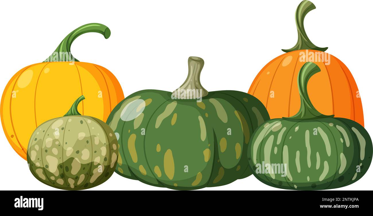 Group of pumpkins vector illustration Stock Vector Image & Art - Alamy