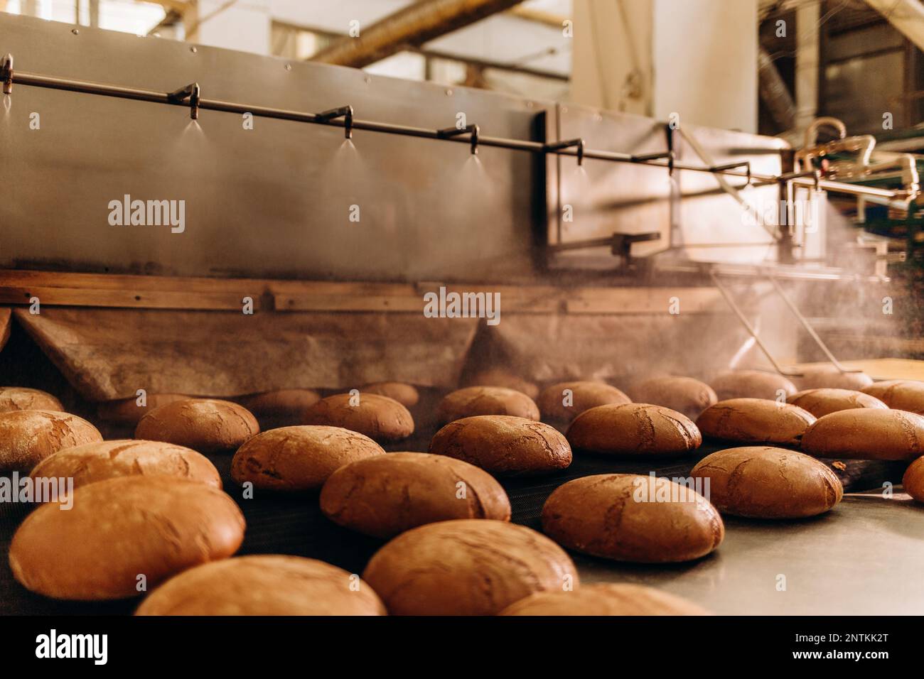 Automatic production line bakery Baked breads from hot oven Stock Photo ...