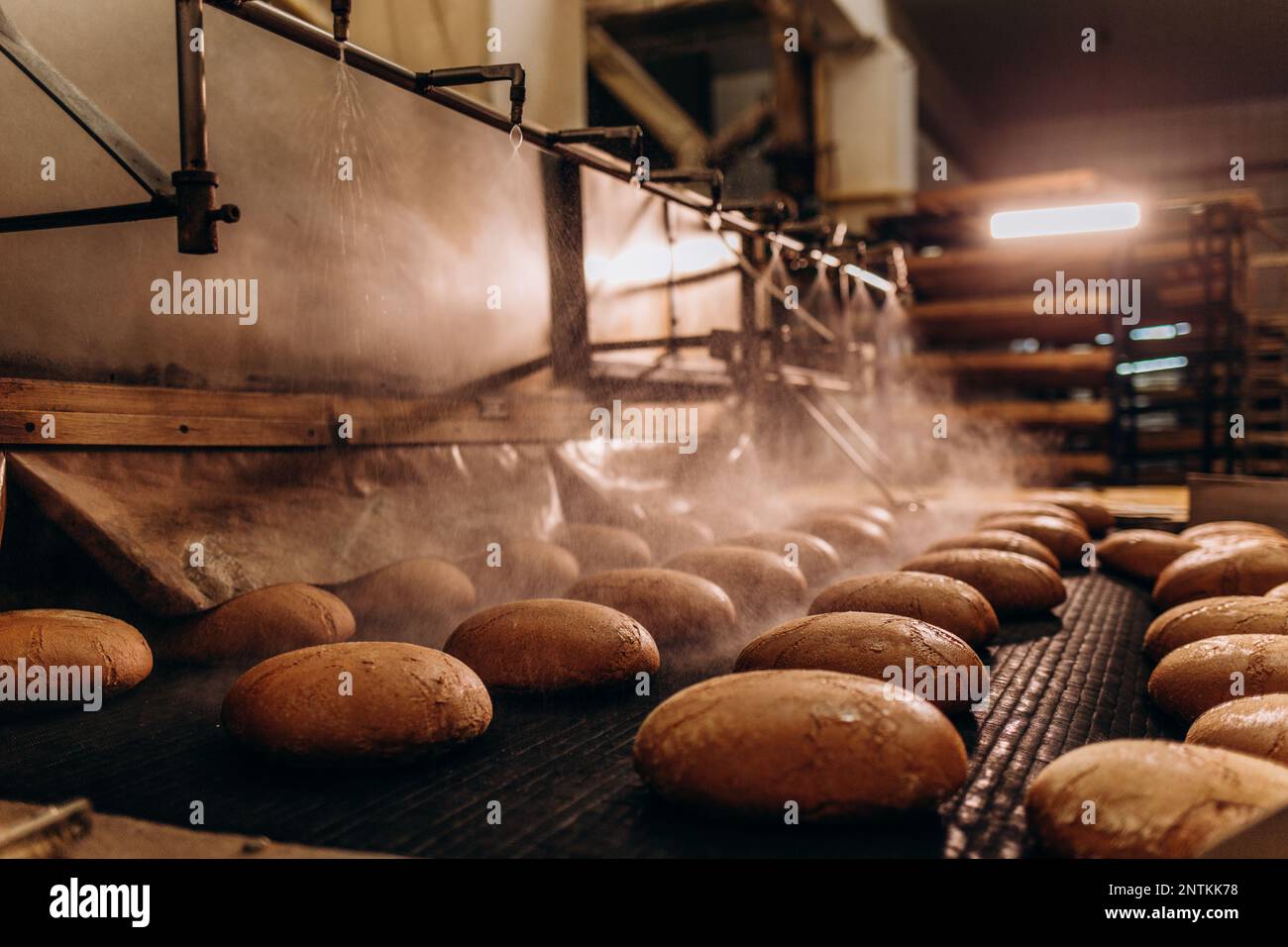 The oven in the bakery. Hot fresh bread leaves the industrial oven in a ...