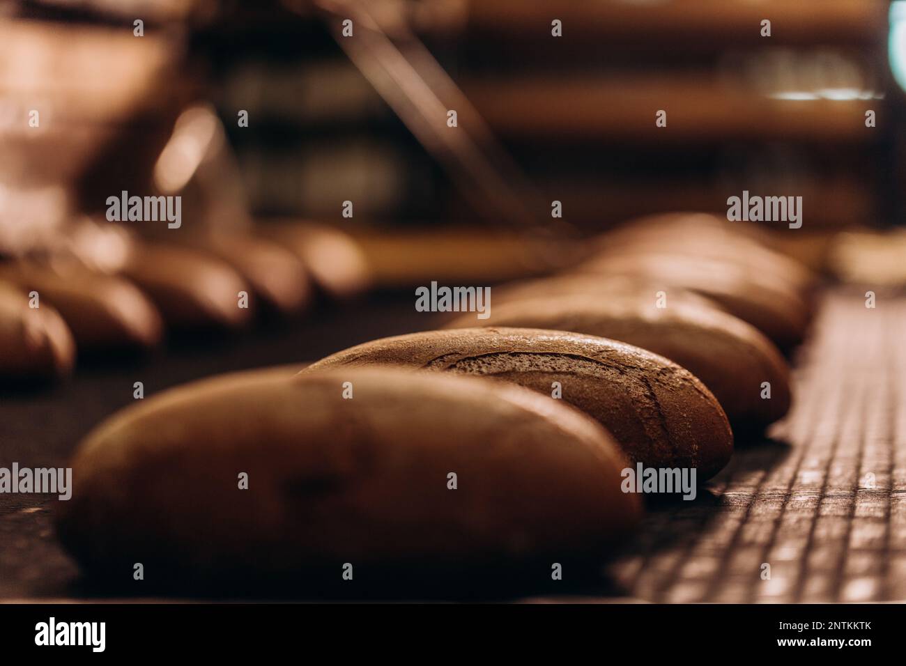 industrial production of bakery products on an assembly line ...