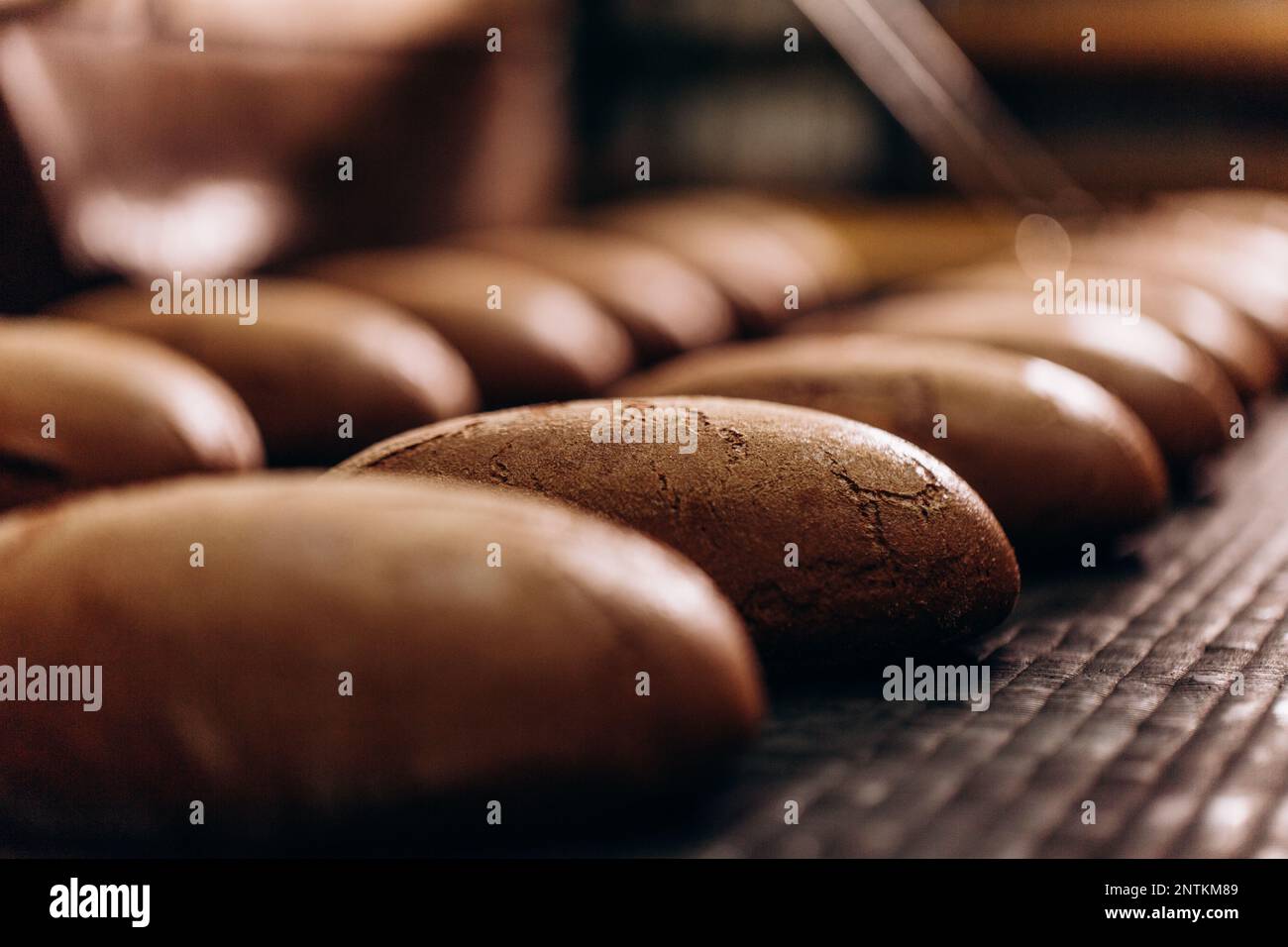 Automatic bakery production line with sweet cookies on conveyor belt ...