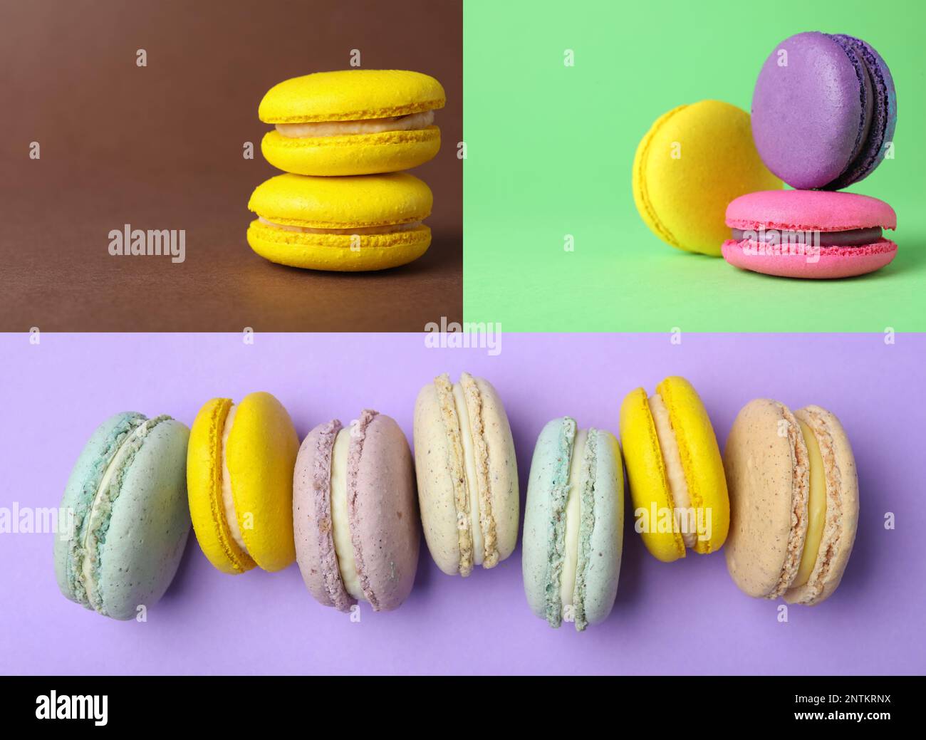 Collage with photos of delicious macarons on different color ...