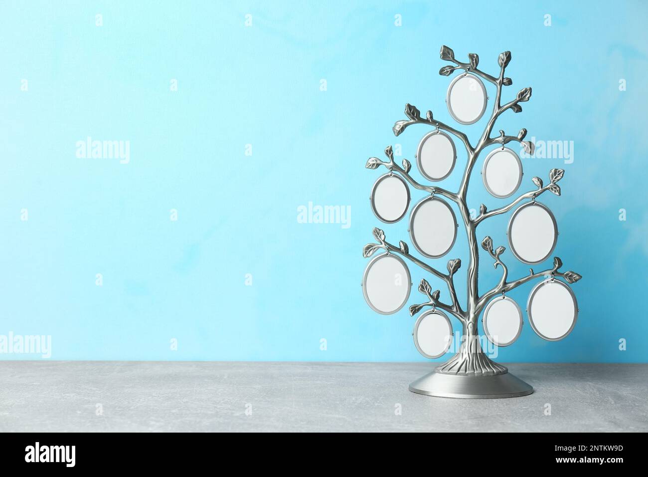 Blank metal family tree frame on light table. Space for text Stock ...
