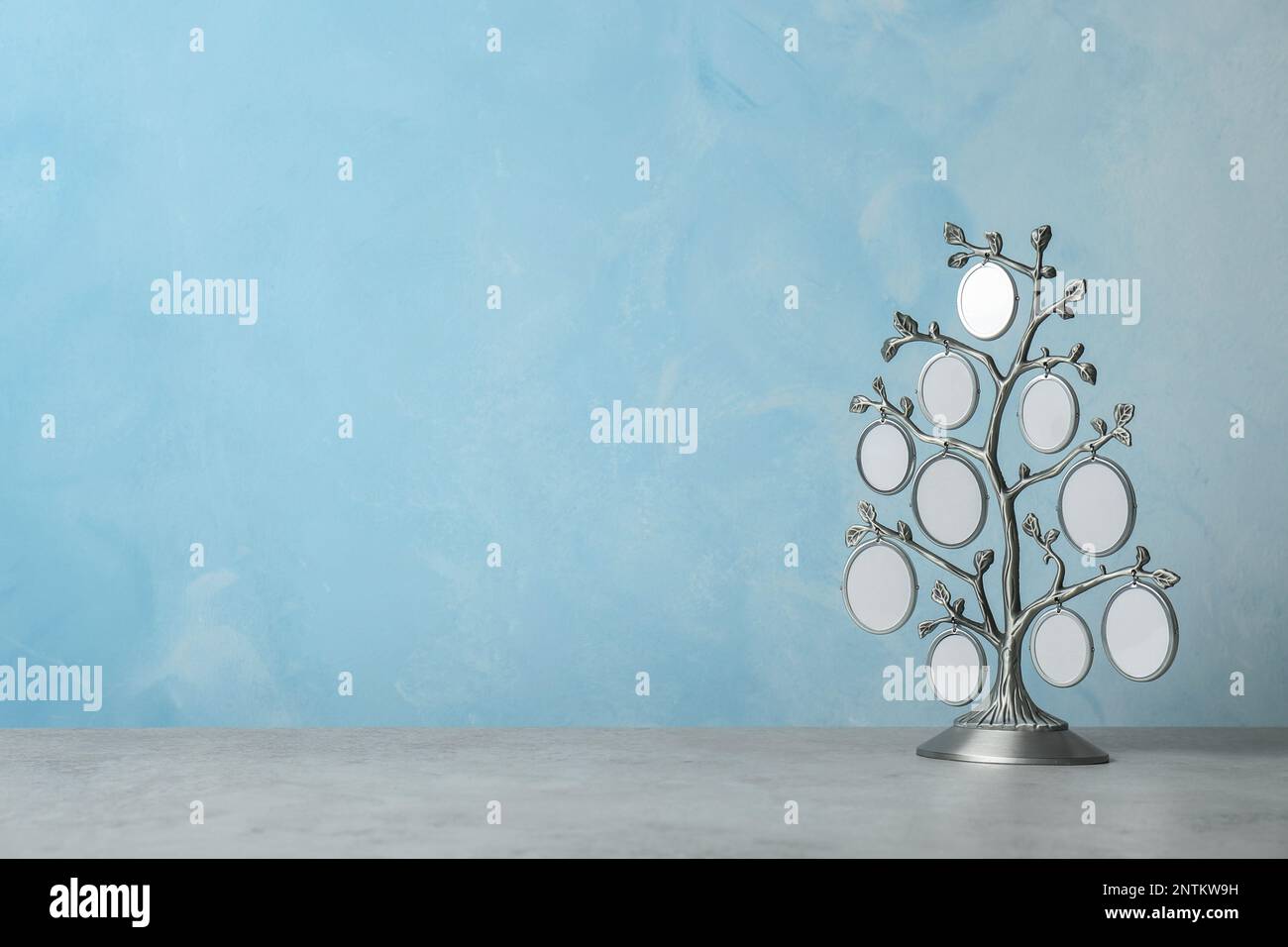 Blank metal family tree frame on light table. Space for text Stock ...