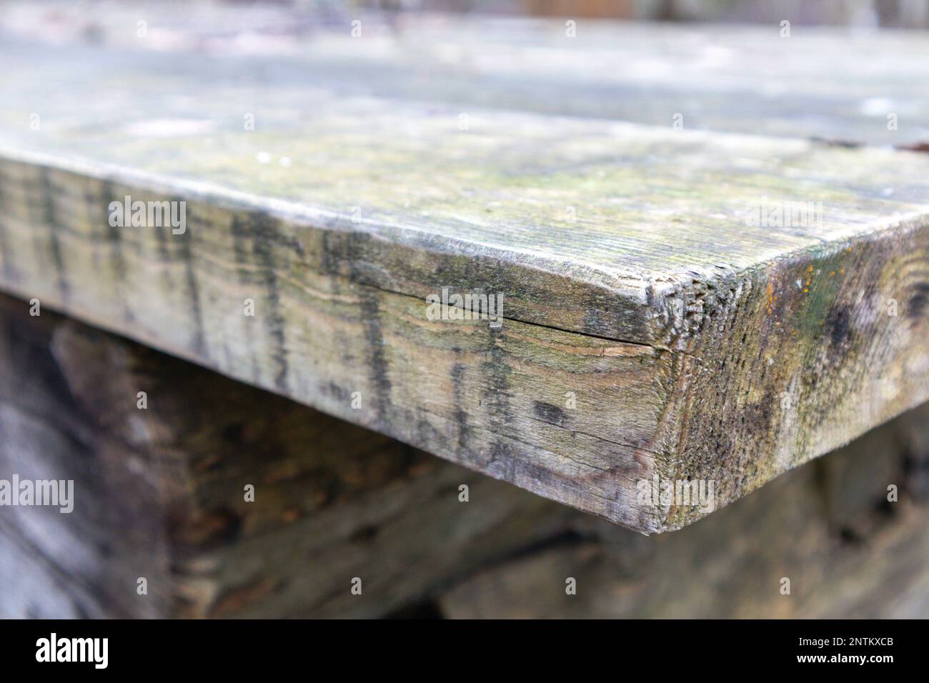 Pine wood board with wood structure in green weathered wood color Stock ...