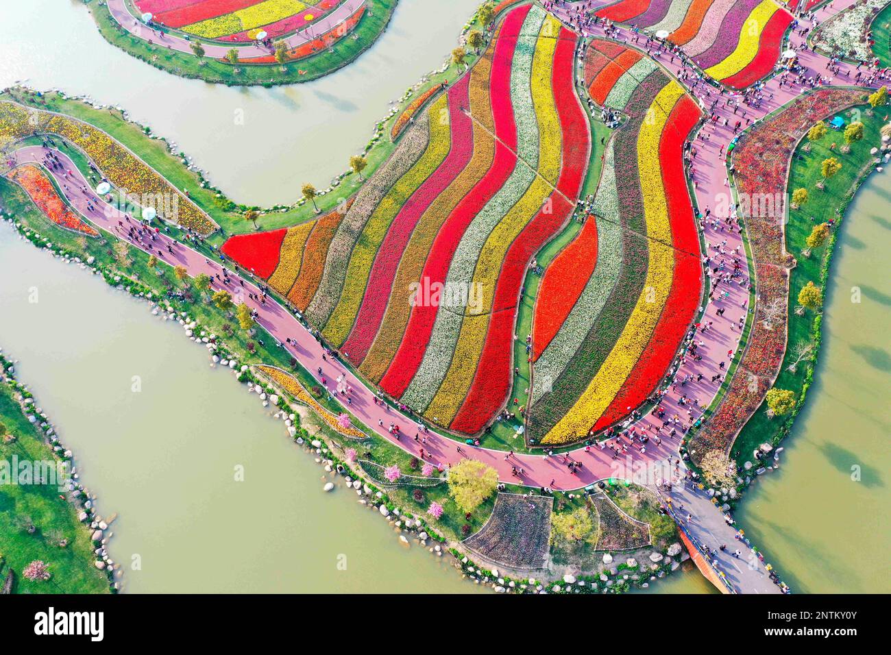 Aerial view of the tulip garden named Dafeng Holland Flowery Sea in ...