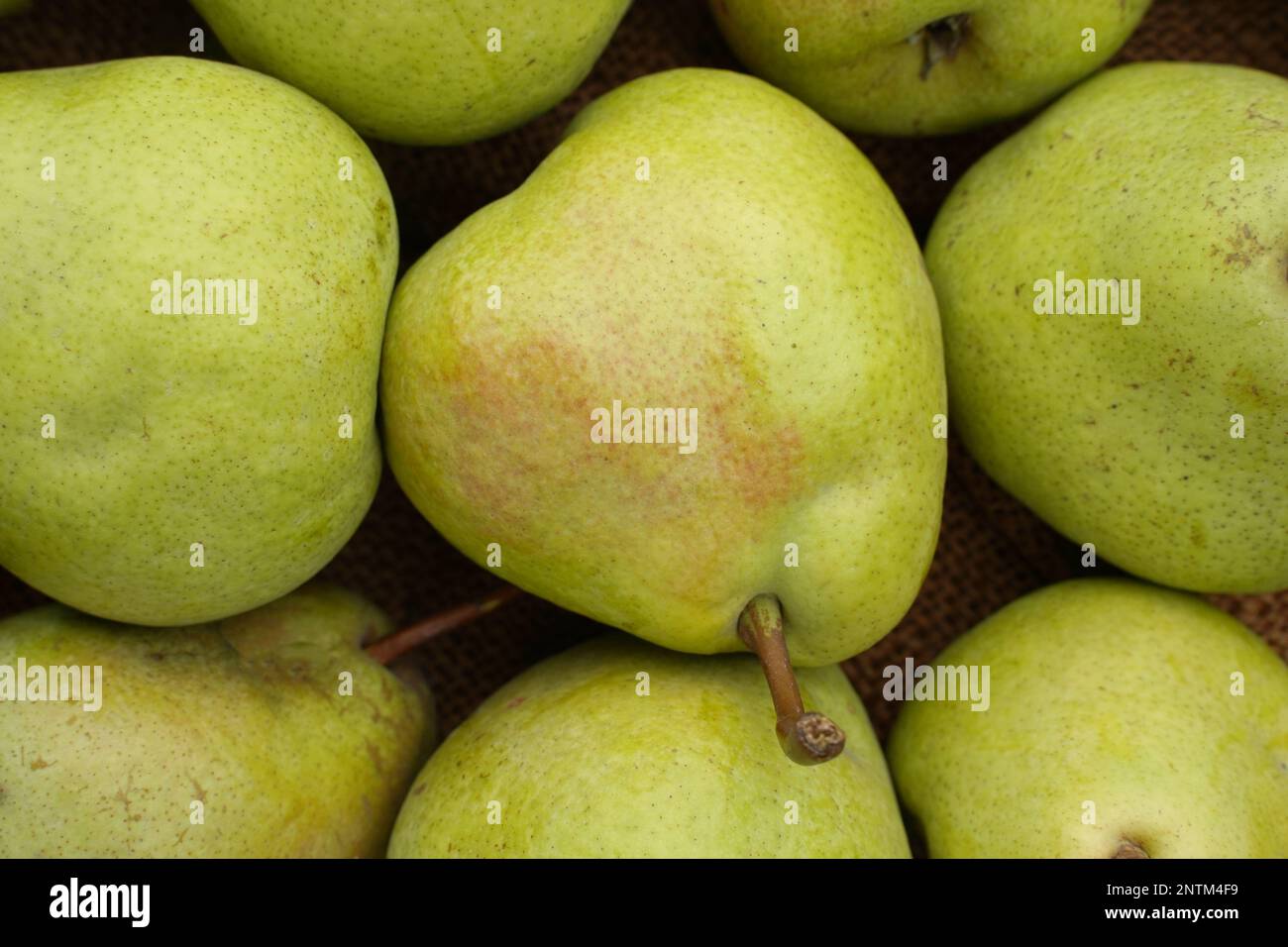 Green pear close-up, fresh fruit natural background Stock Photo - Alamy