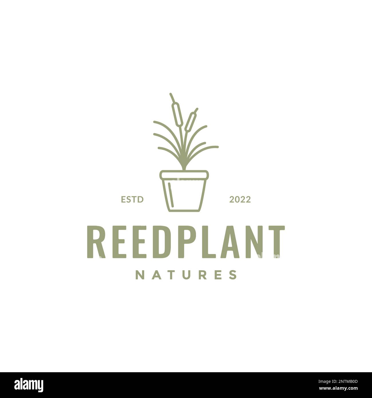 plant reed leaves grass pots vase hipster logo design vector icon ...