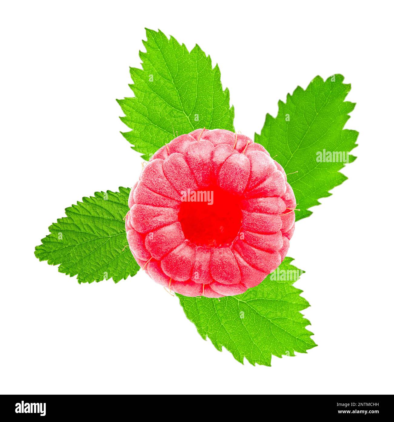 Raspberry with green leaf isolated on white background Stock Photo - Alamy