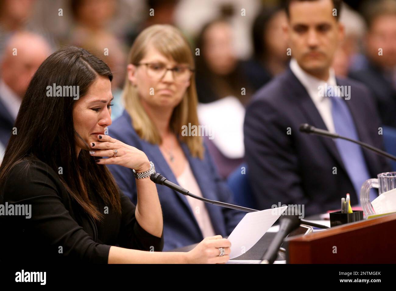Assemblywoman Sandra Jauregui, D-Las Vegas, testifies to a joint ...
