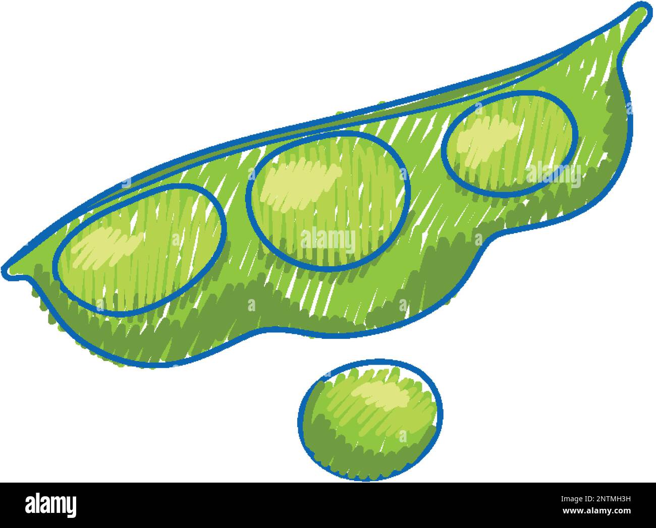 Pea in pencil colour sketch simple style illustration Stock Vector ...