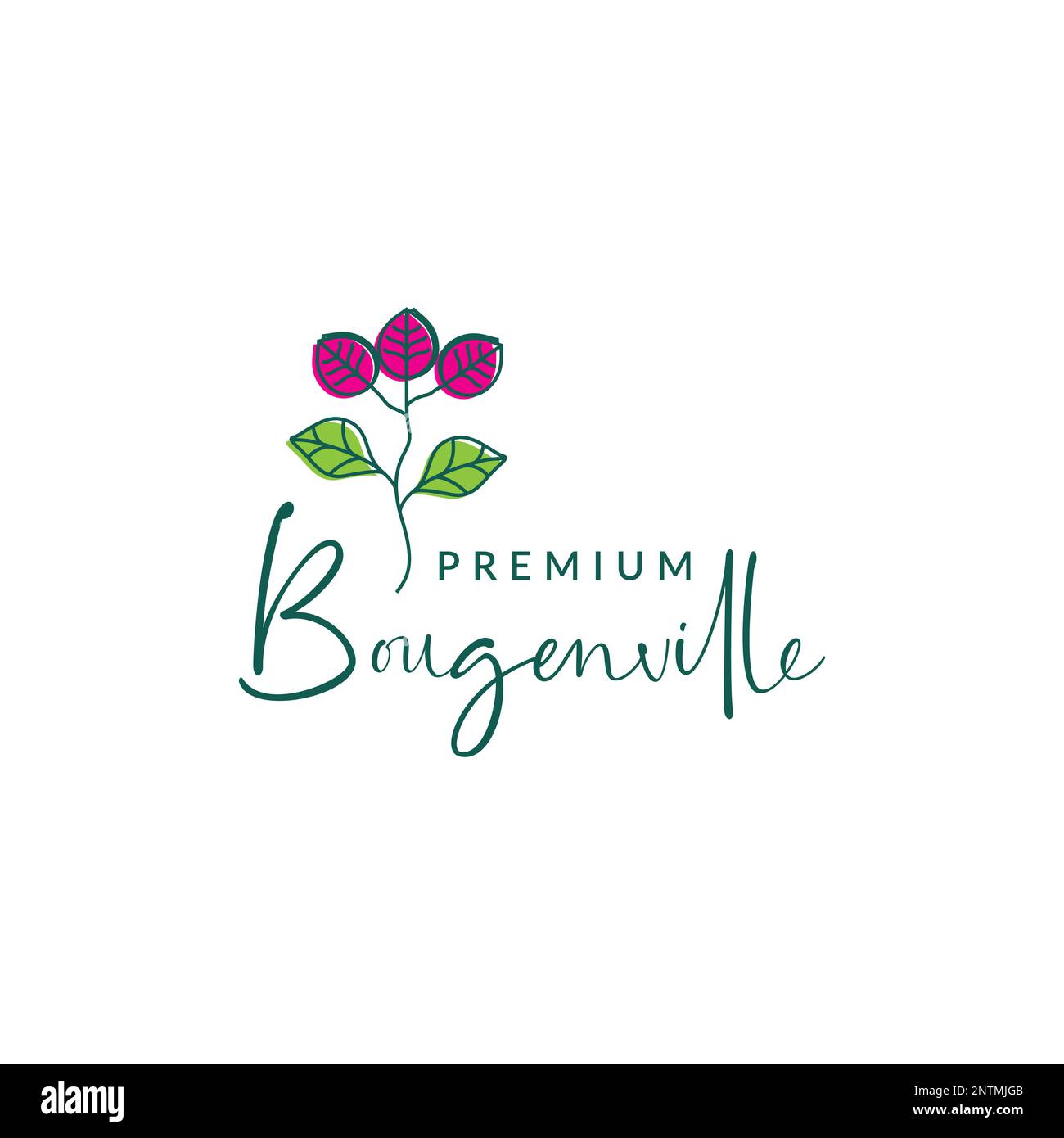 plant flower florist Bougainvillea fragrant colorful gardening logo ...