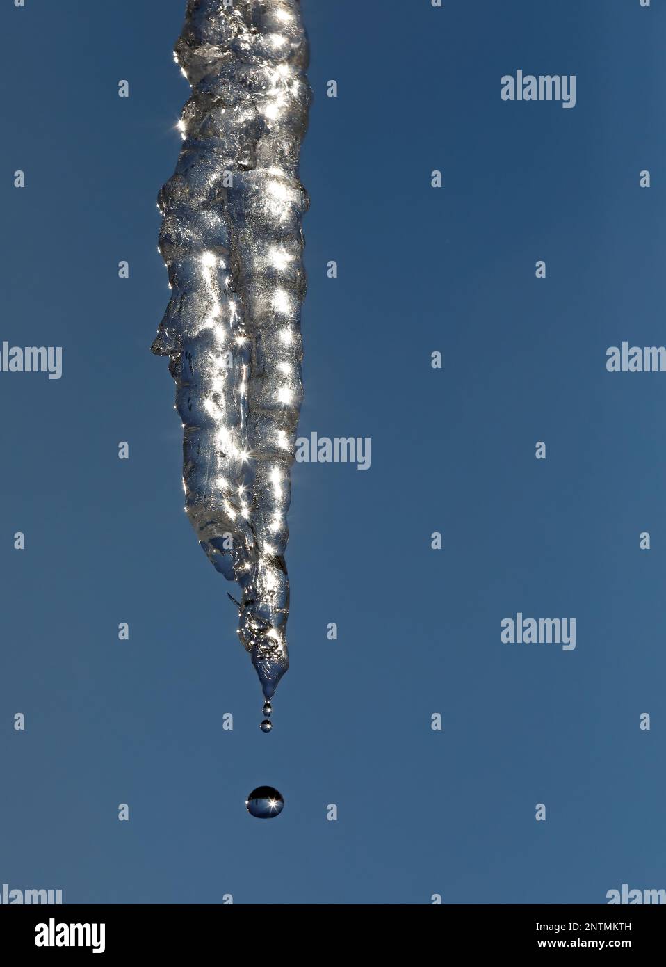Icicle and water drop Stock Photo - Alamy
