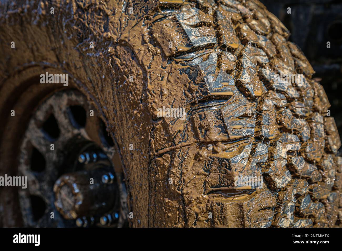 A closeup of a vehicle tire covered in mud and tire marks outdoors ...