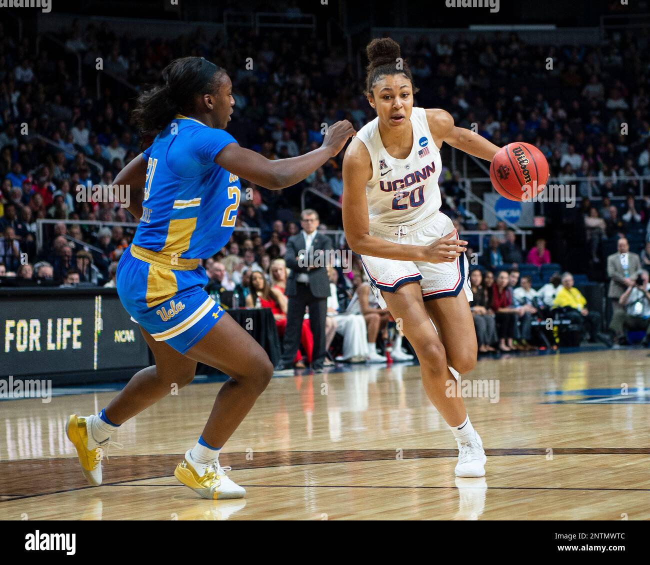 ALBANY, NY - MARCH 29: Connecticut Huskies Forward Olivia Nelson-Ododa ...