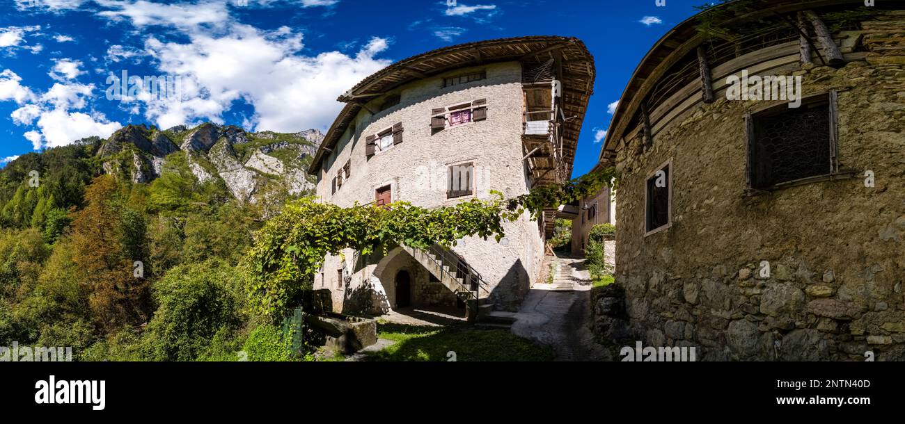 Panoramic view of farmers houses, grapevines and trees of the village ...