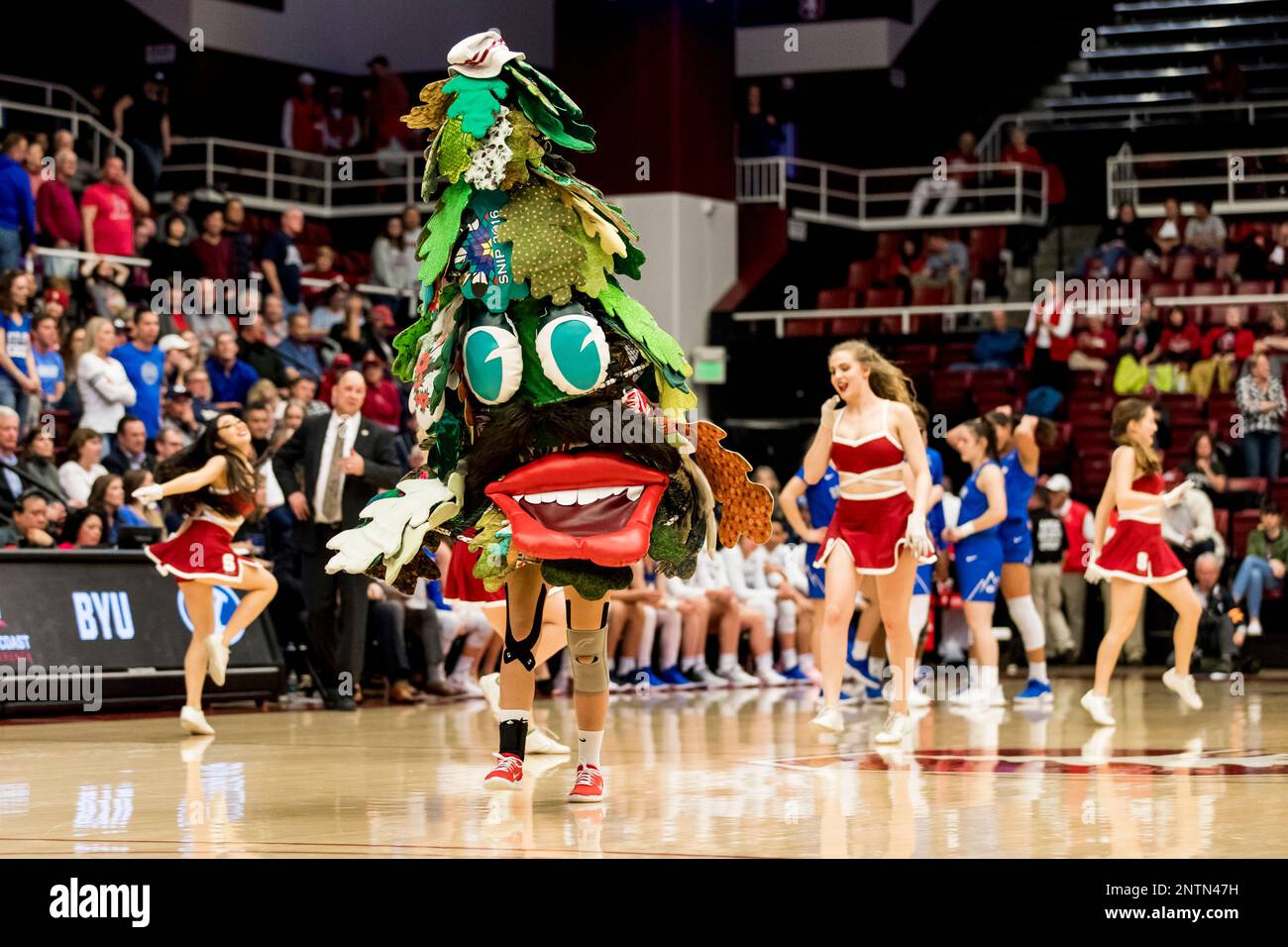 Stanford Cardinal Mascot Basketball
