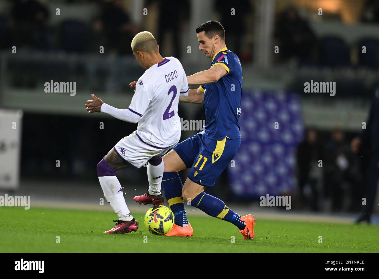 Verona dodo hi-res stock photography and images - Alamy