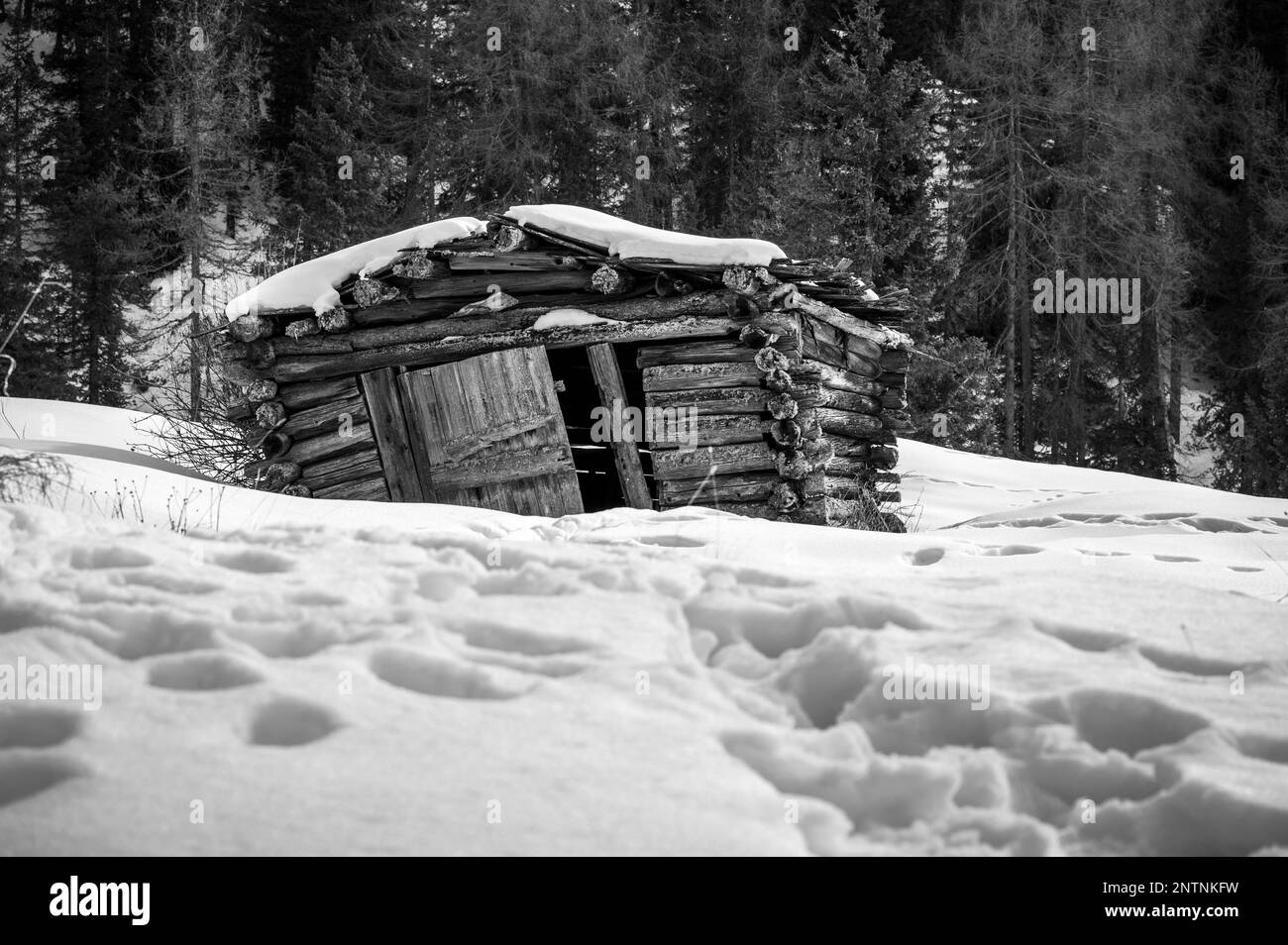 Alta Val Badia in winter. The village of La Val surrounded by the ...