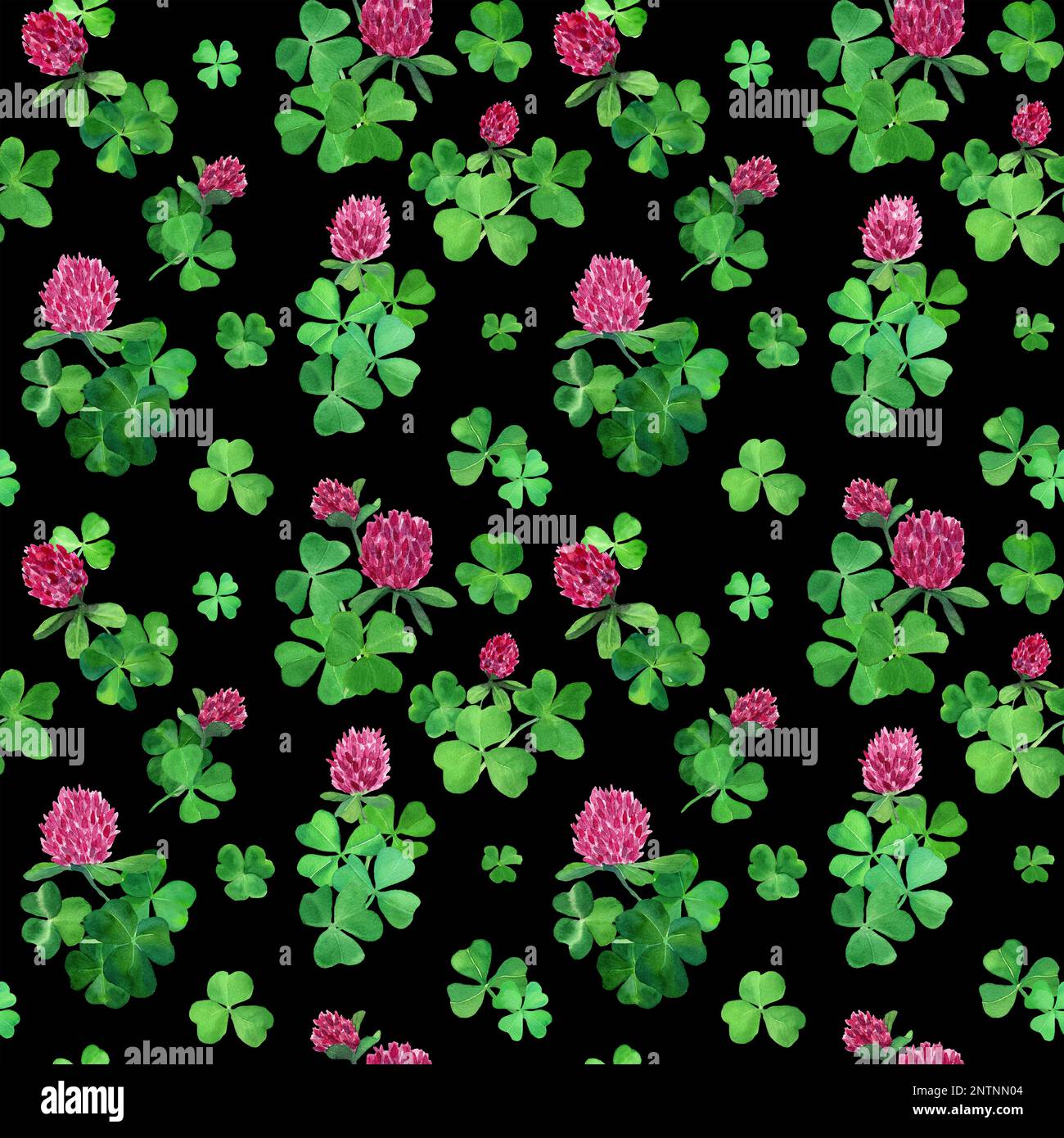 Watercolor clover in bloom seamless pattern. Hand drawn spring ...