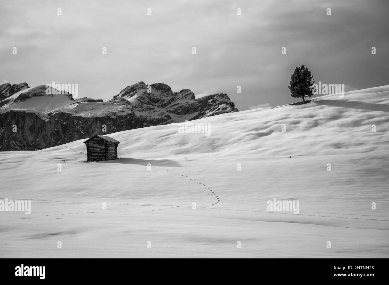 Alta Val Badia in winter. The village of La Val surrounded by the ...