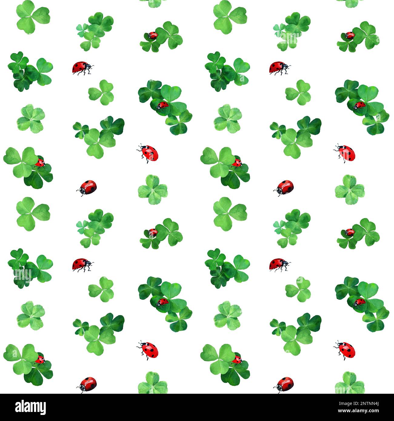 Ladybug on four leaf clover hi-res stock photography and Ladybug on four leaf clover hi-res stock photography and