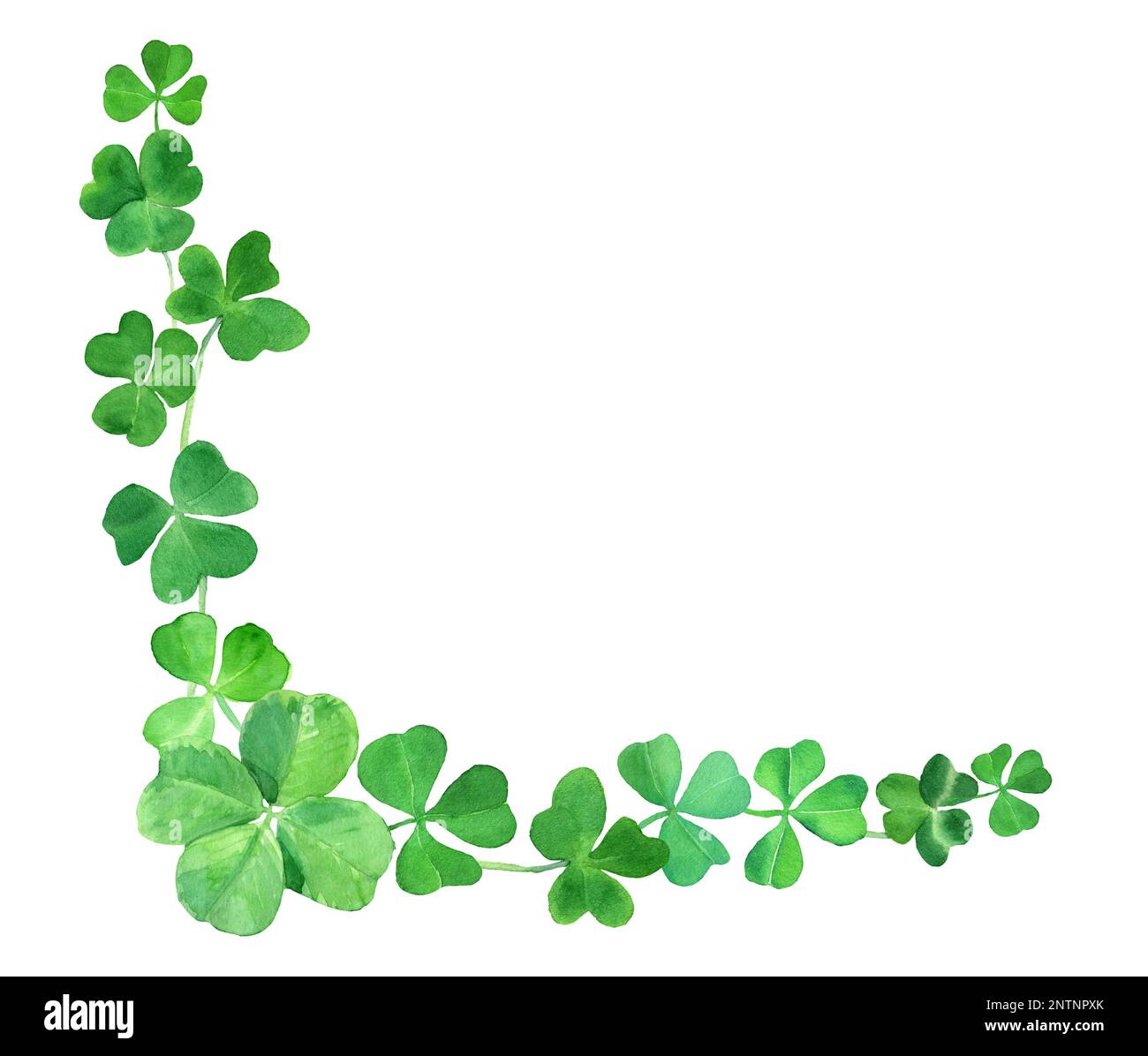 Watercolor drawn clover border with ladybugs. Botany frame Illustration ...