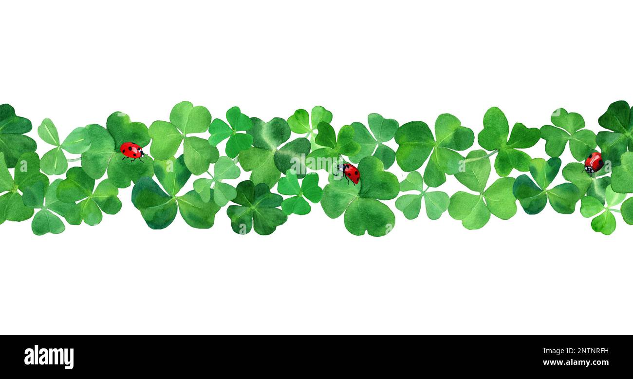 Four Leaf Clover Border